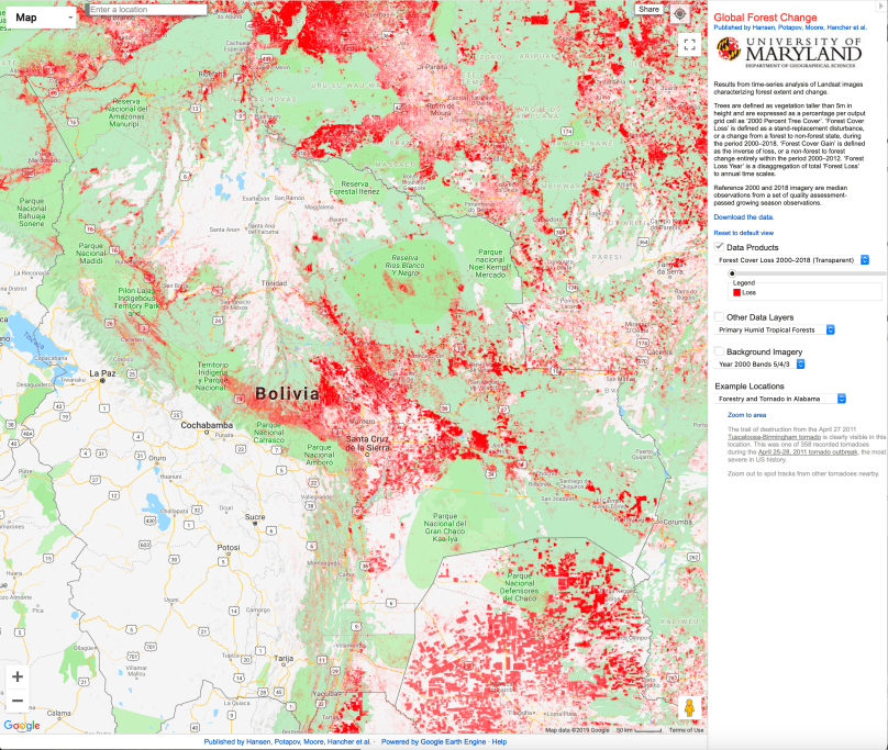 Deforestation in Bolivia: The bigger picture – Carwil without Borders